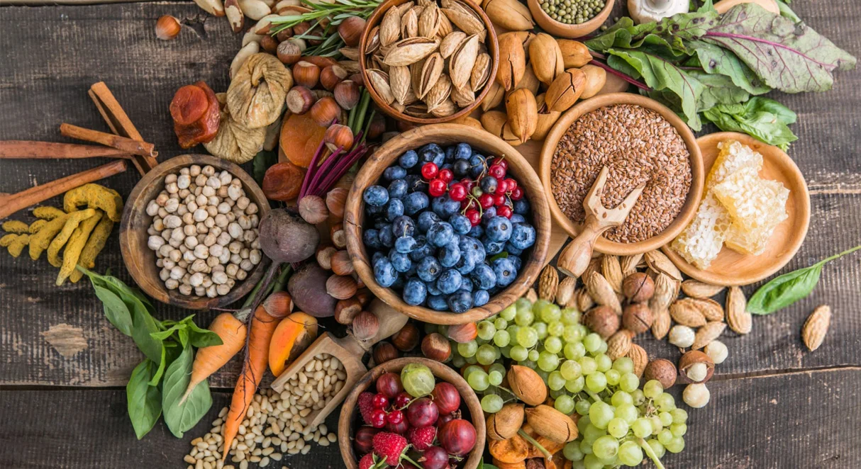 Gluten-Free Protein Supplement for Digestive Health & Energy | Muscle Trail